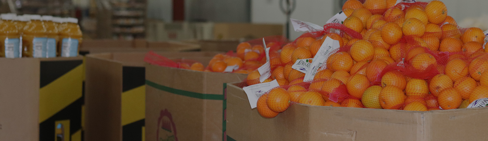 Willcox Distribution Center | Community Food Bank