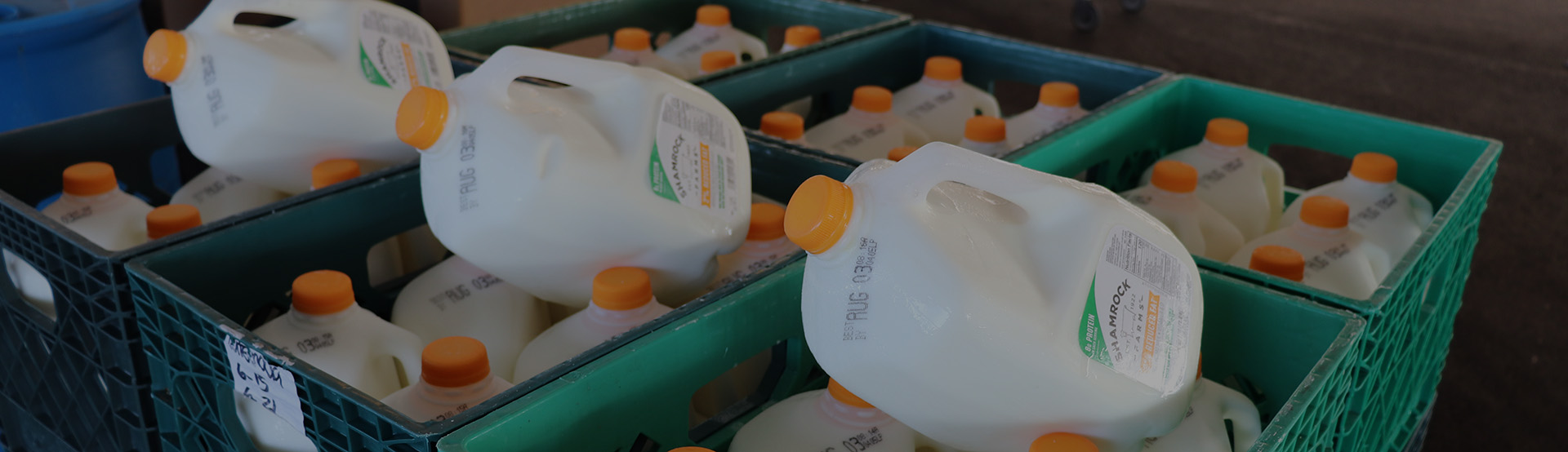 Emergency Food Assistance | Community Food Bank