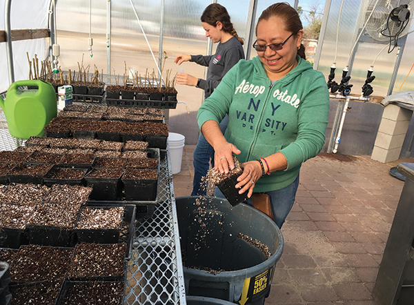 How We Help | Community Food Bank